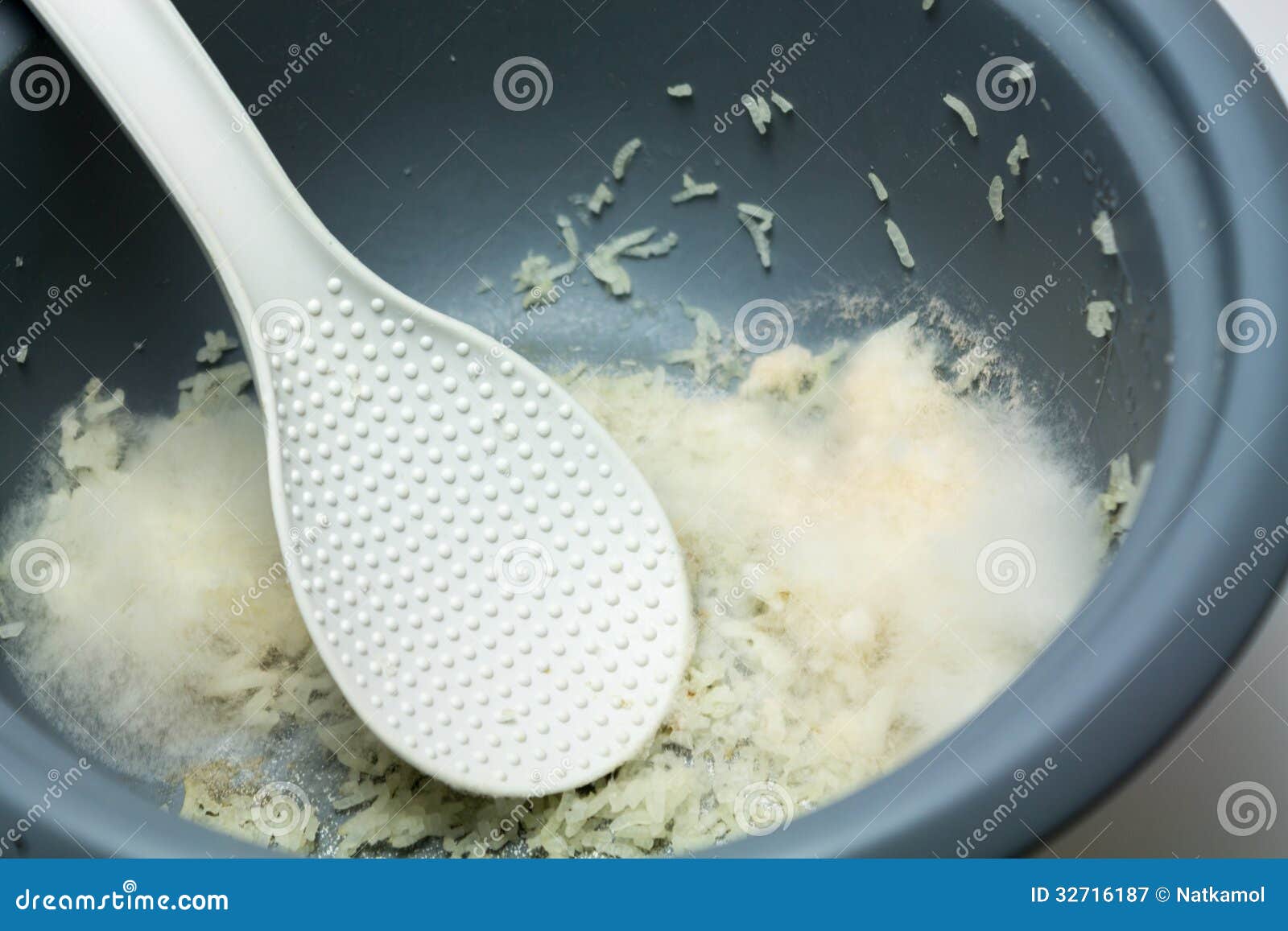 Mildew stock image. Image of biology, cooking, growing - 32716187
