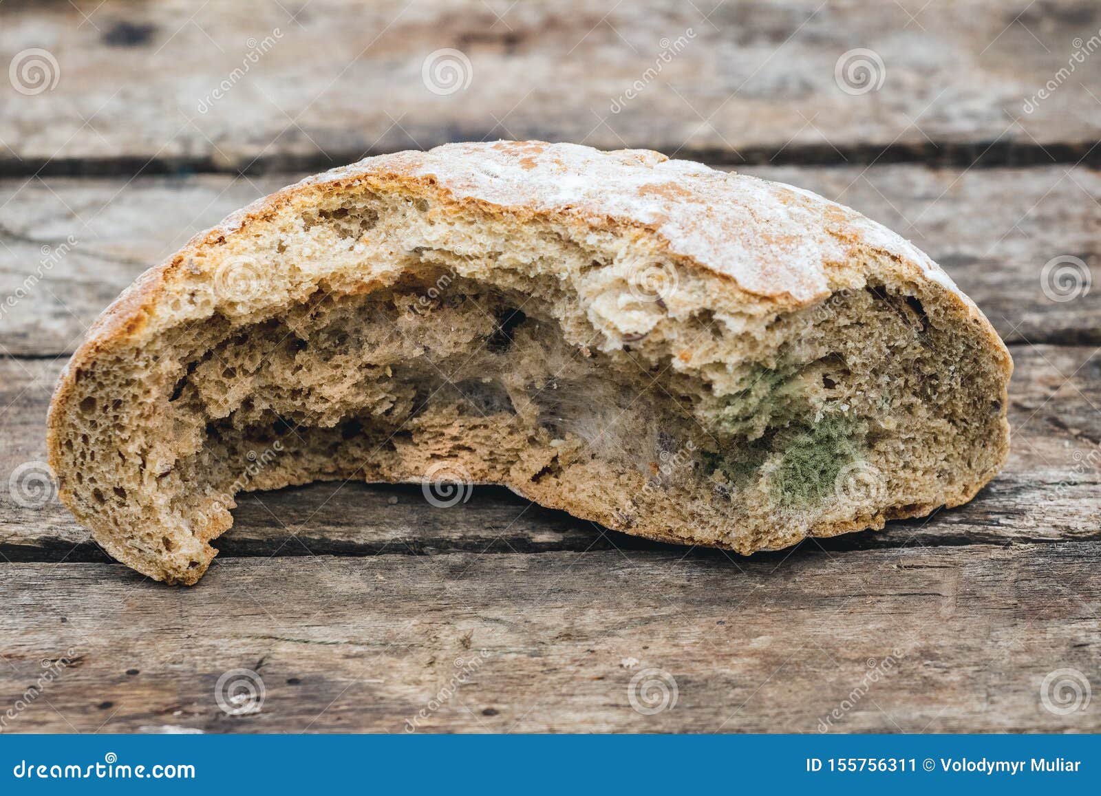 Mildew on a Slice of Bread, Lying on a Wooden Surface. Stale Bread ...