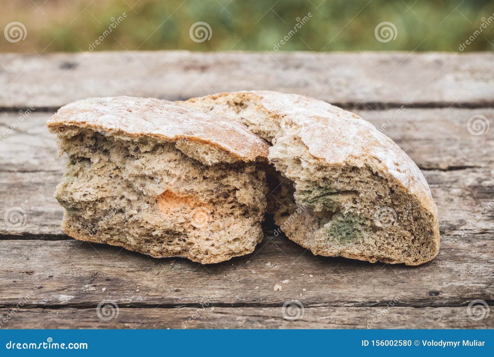 Mildew on a Slice of Bread, Lying on a Wooden Surface. Stale Bread ...