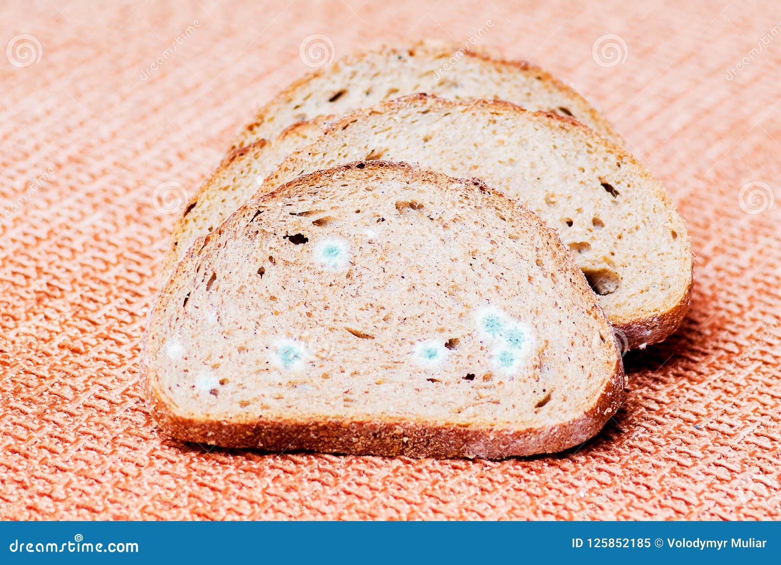 Mildew on a Slice of Bread. Stale Bread, Covered with Mildew_ Stock ...