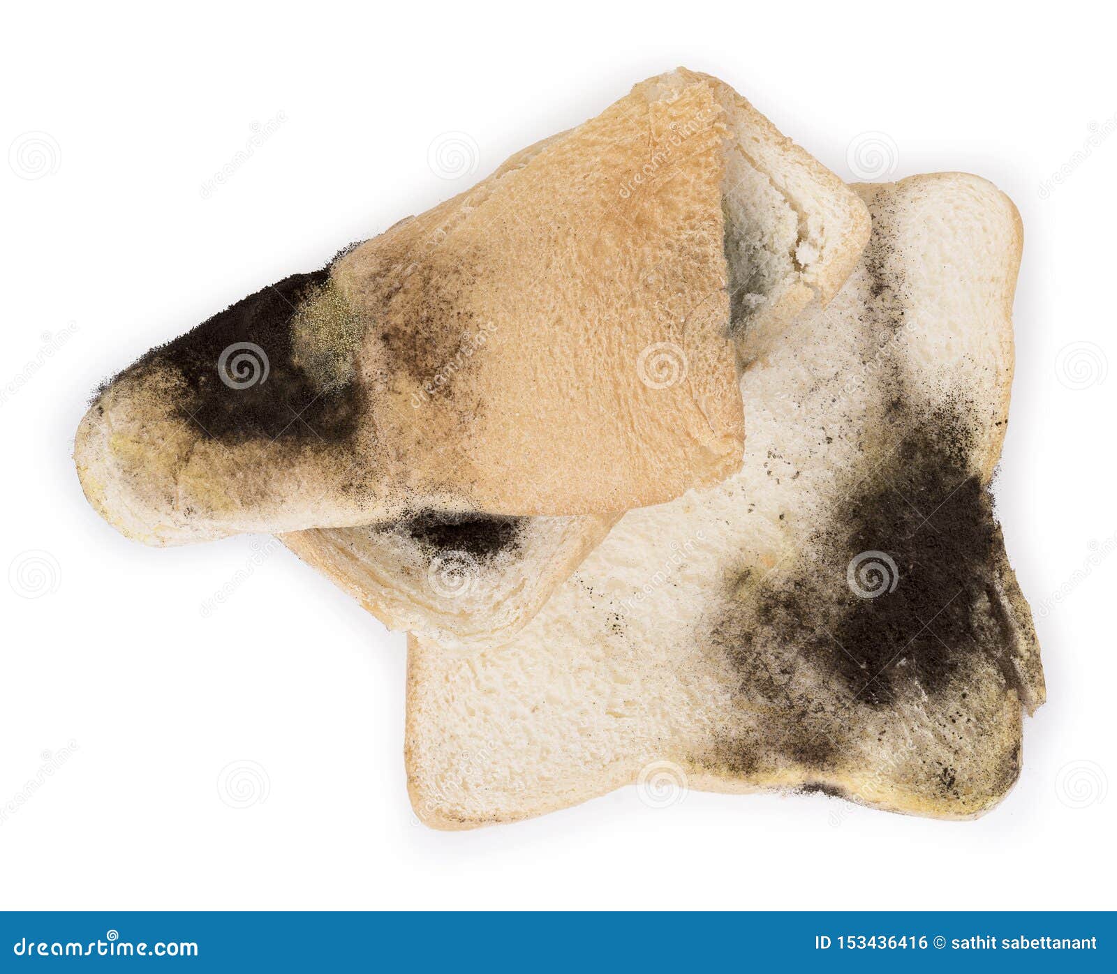 Mildew on a Slice of Bread. Stale Bread, Top View Stock Photo - Image ...