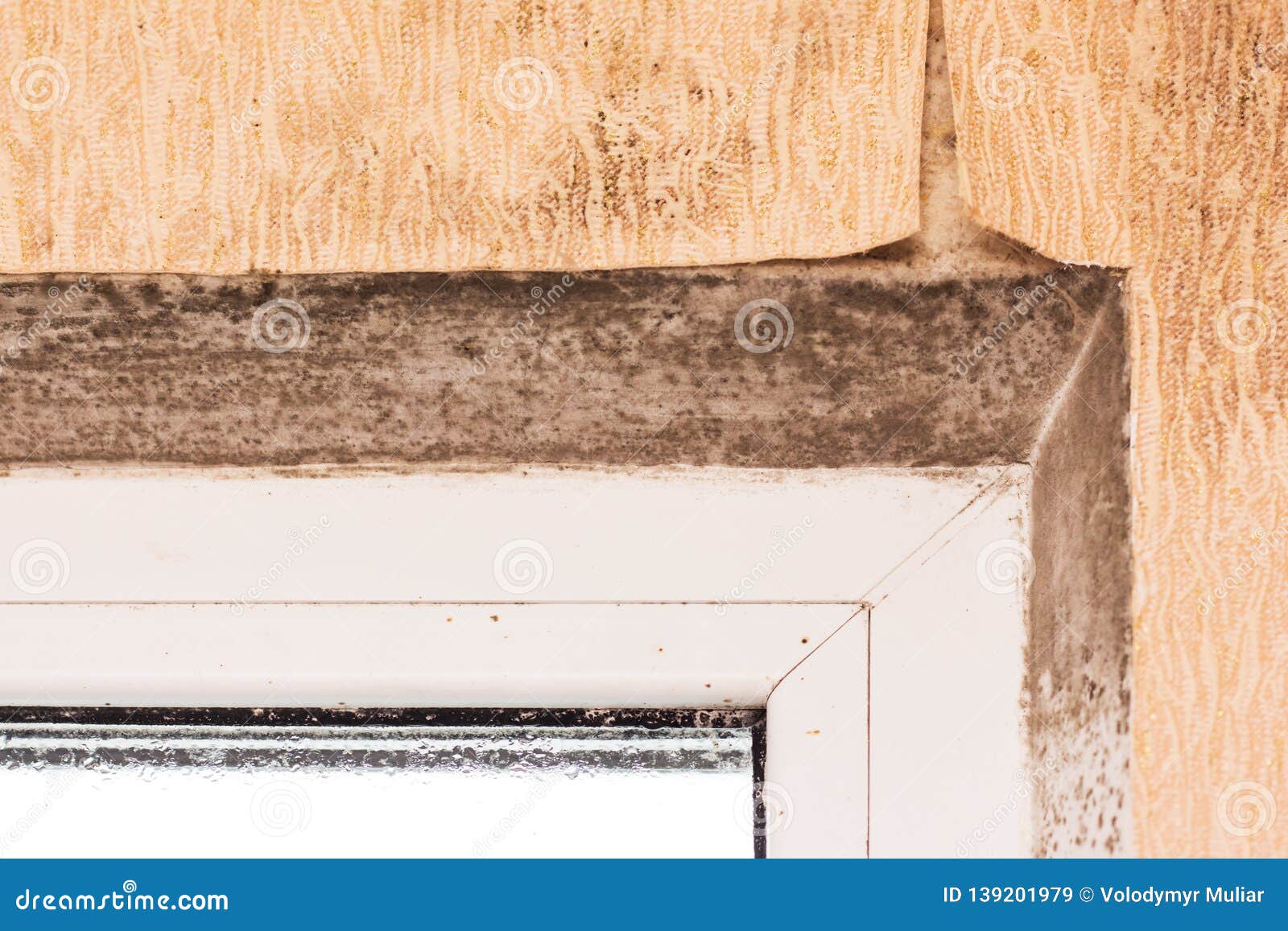 Mildew on the Wallpapers and Near the Window_ Stock Image - Image of ...