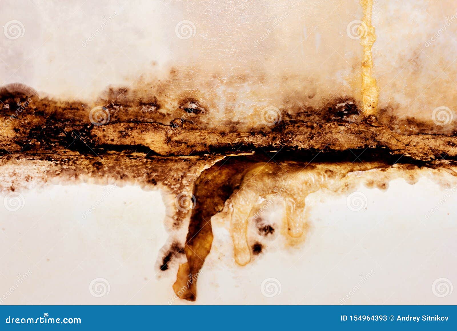 Mildewed bath and tile stock image. Image of problem - 154964393