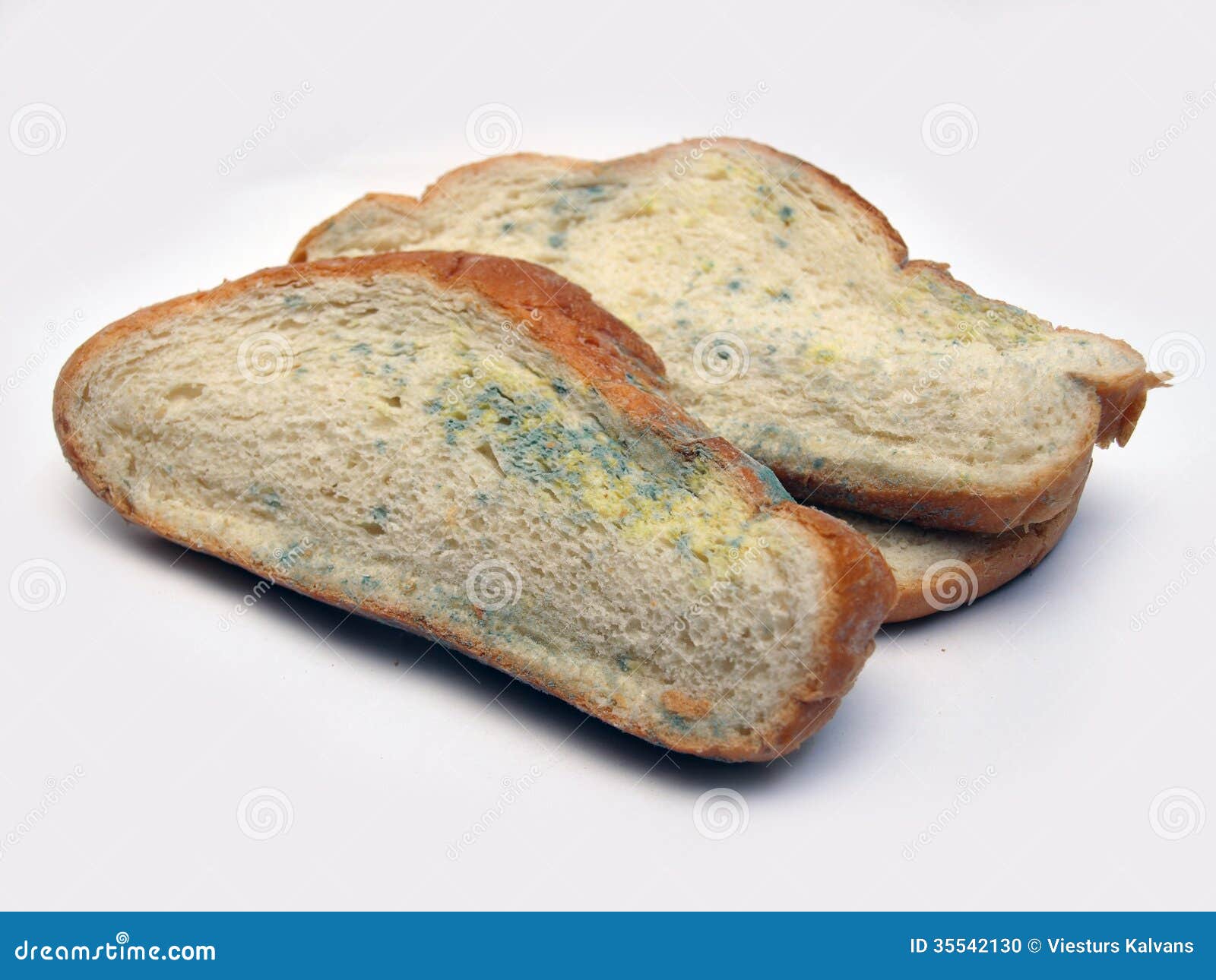 Mildewed bread stock photo. Image of slice, mouldy, musty - 35542130