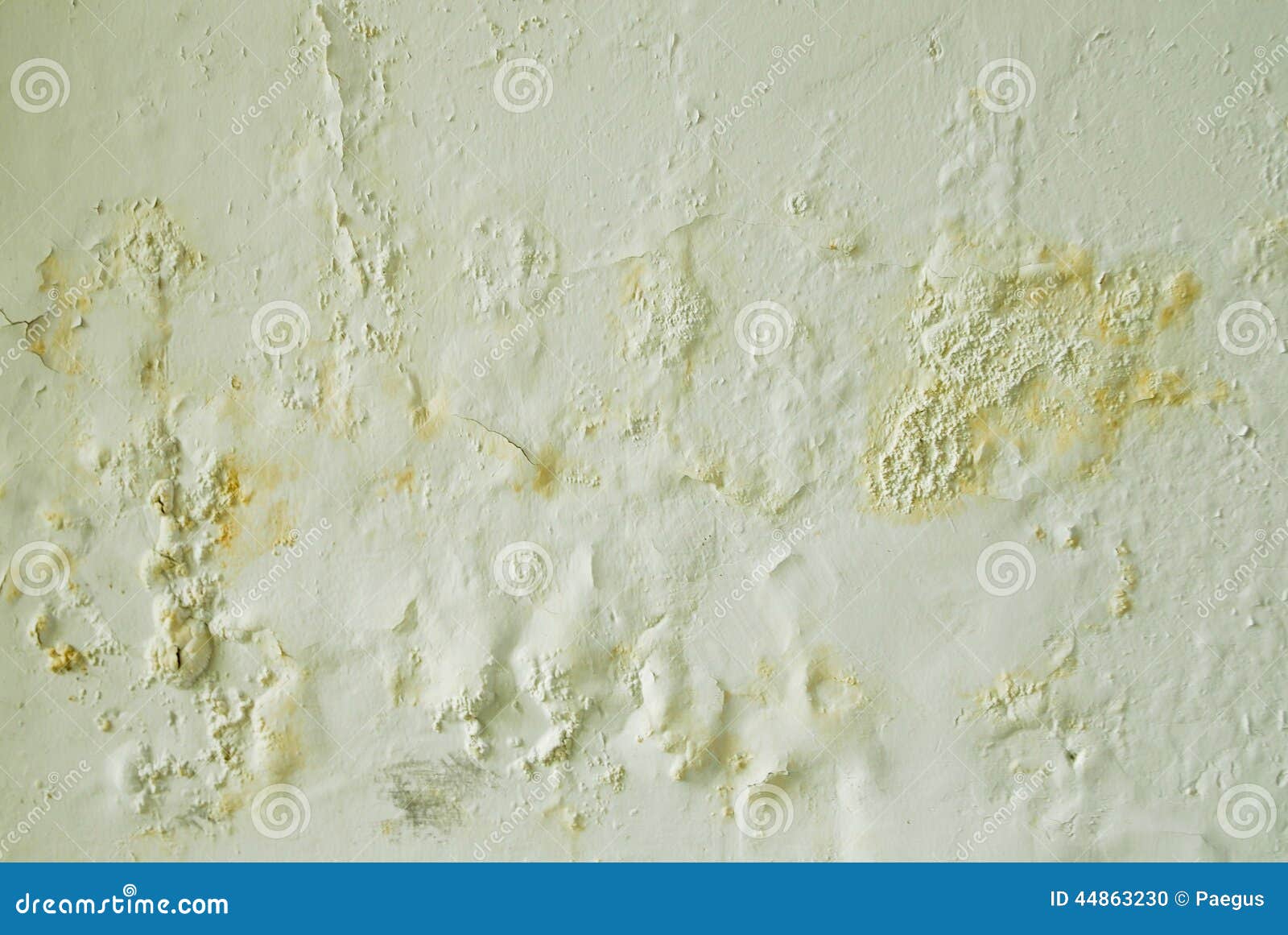 Mildewed wall stock photo. Image of room, house, hygiene - 44863230