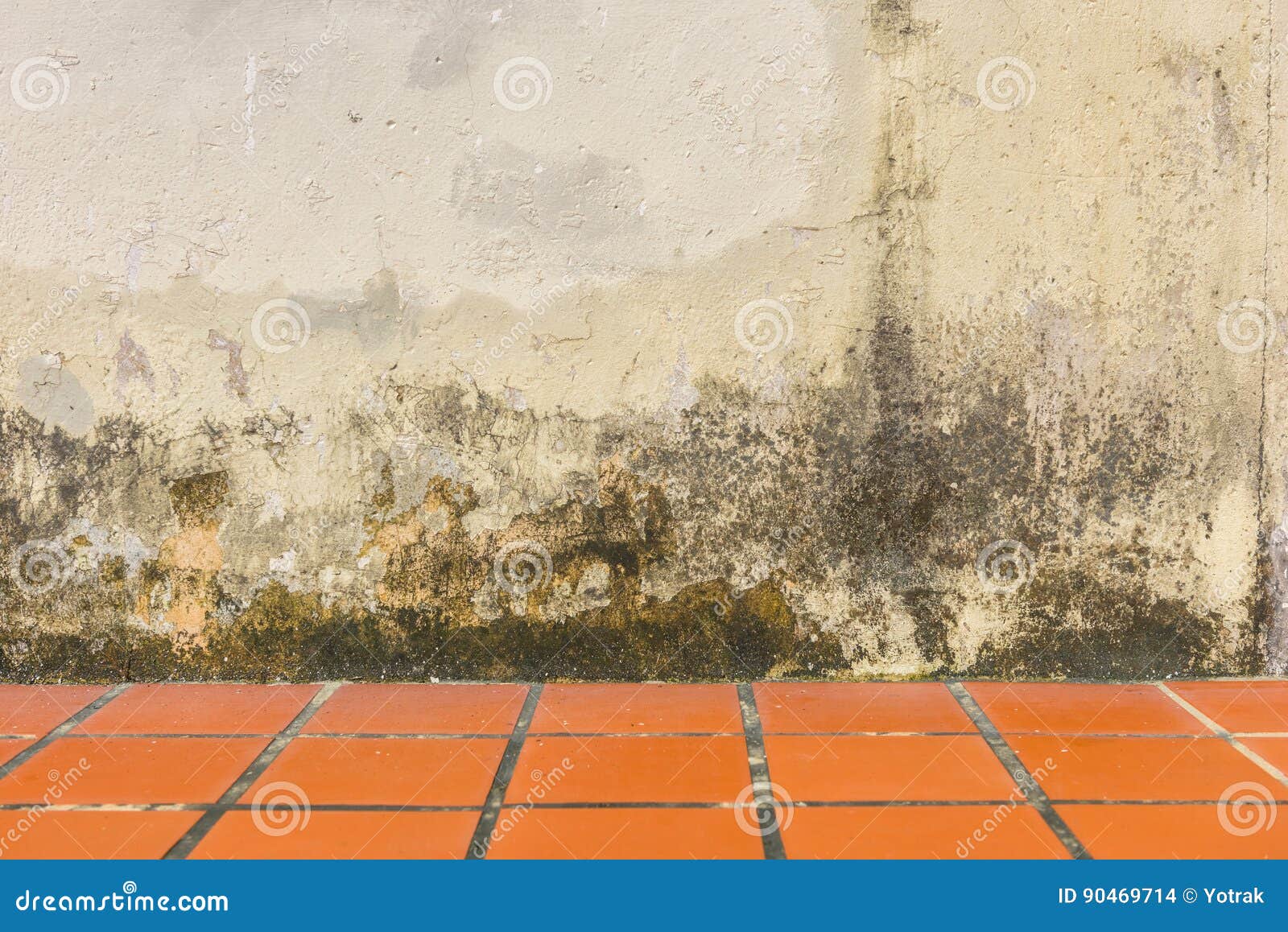 Mildewed walls stock photo. Image of blank, clean, antique - 90469714