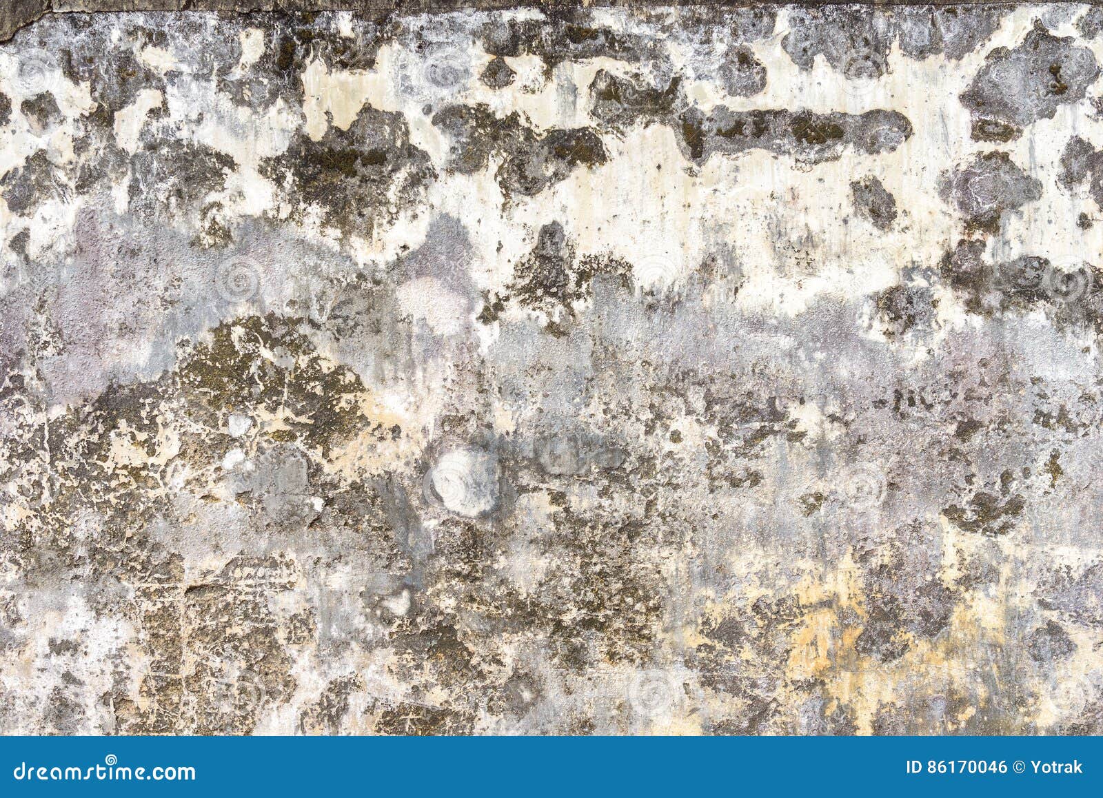 Mildewed walls stock photo. Image of gray, copy, cracked - 86170046