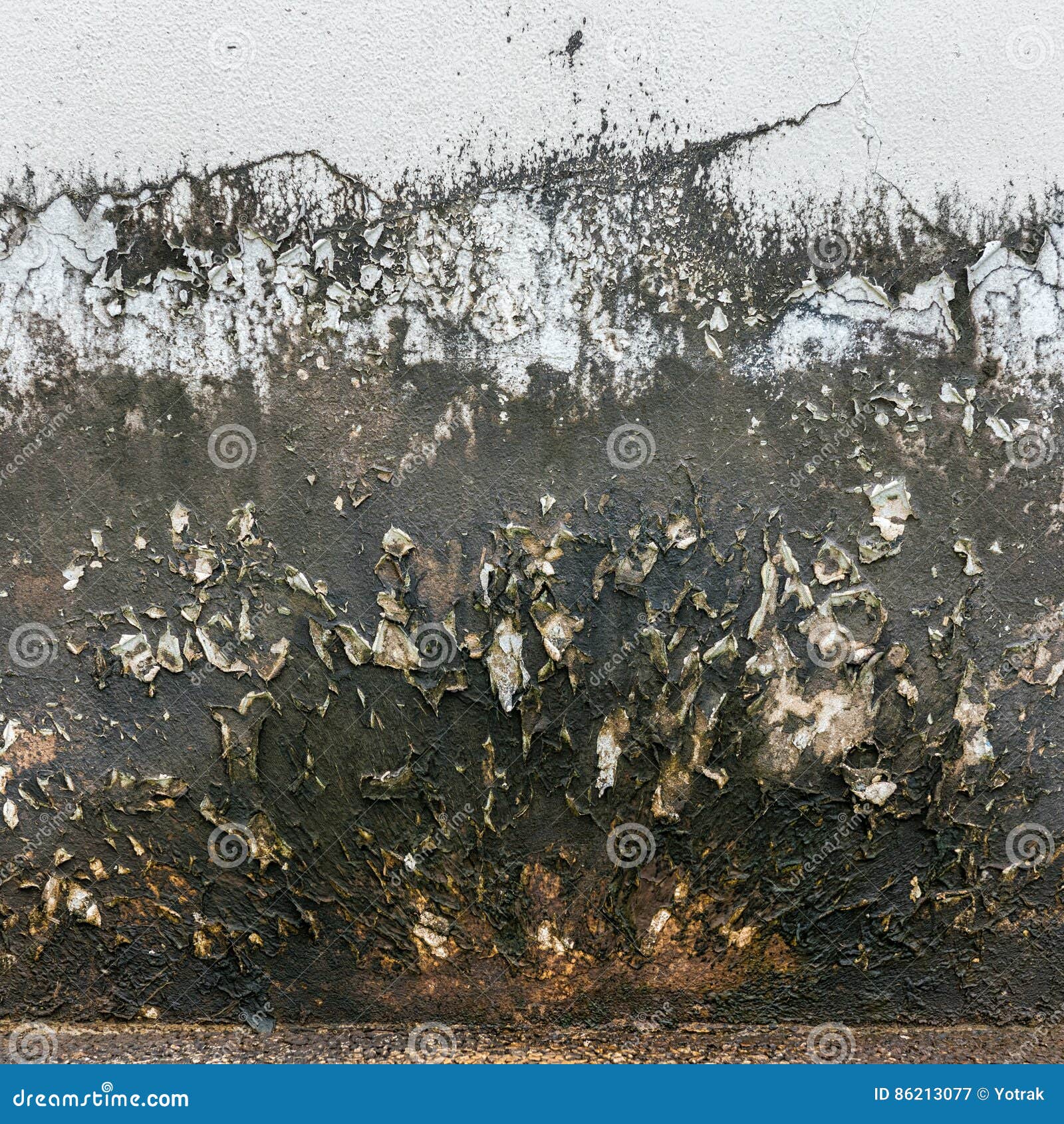 Mildewed walls stock image. Image of black, mildew, interior - 86213077