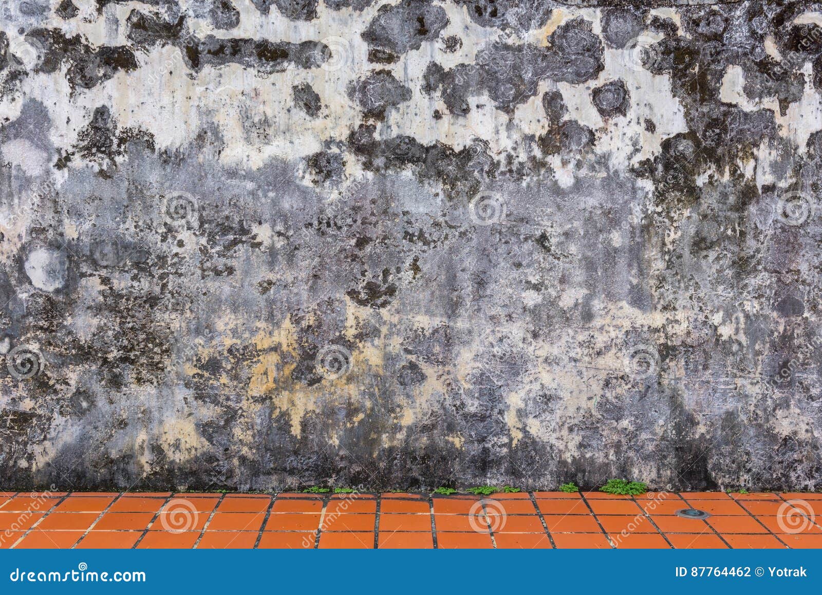 Mildewed walls stock photo. Image of construction, paint - 87764462