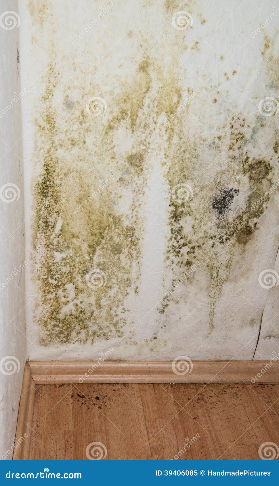 Mildewed Walls stock image. Image of grunge, corner, mouldy - 39406085