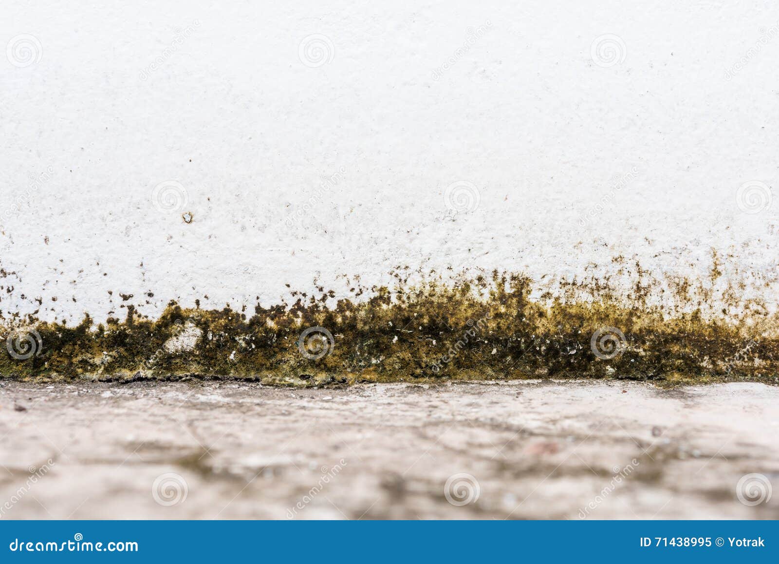 Mildewed walls stock image. Image of climate, smoke, cloud - 71438995