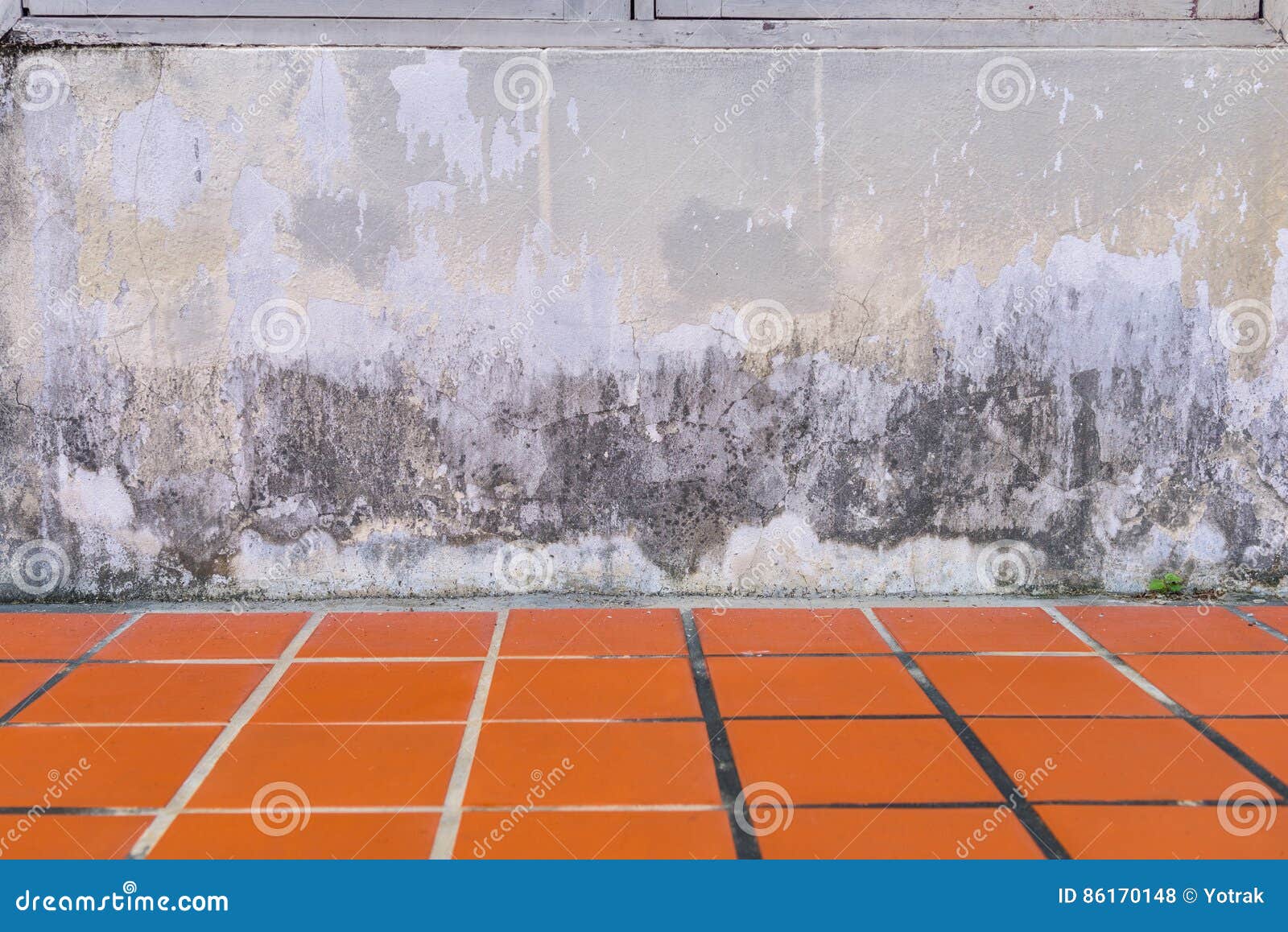 Mildewed walls stock photo. Image of concrete, faded - 86170148