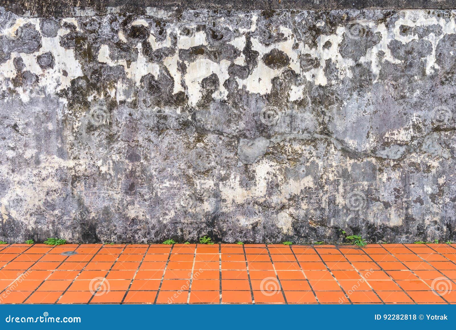 Mildewed walls stock photo. Image of mold, asthma, moldy - 92282818