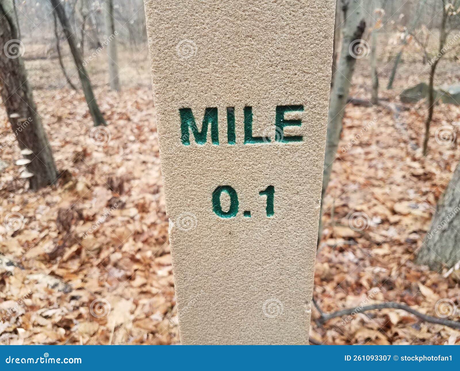 0.1 Mile Marker Post in Forest or Woods with Leaves Stock Image - Image ...