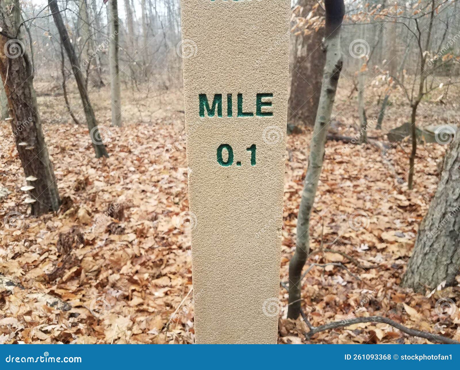 0.1 Mile Marker Post in Forest or Woods with Leaves Stock Photo - Image ...
