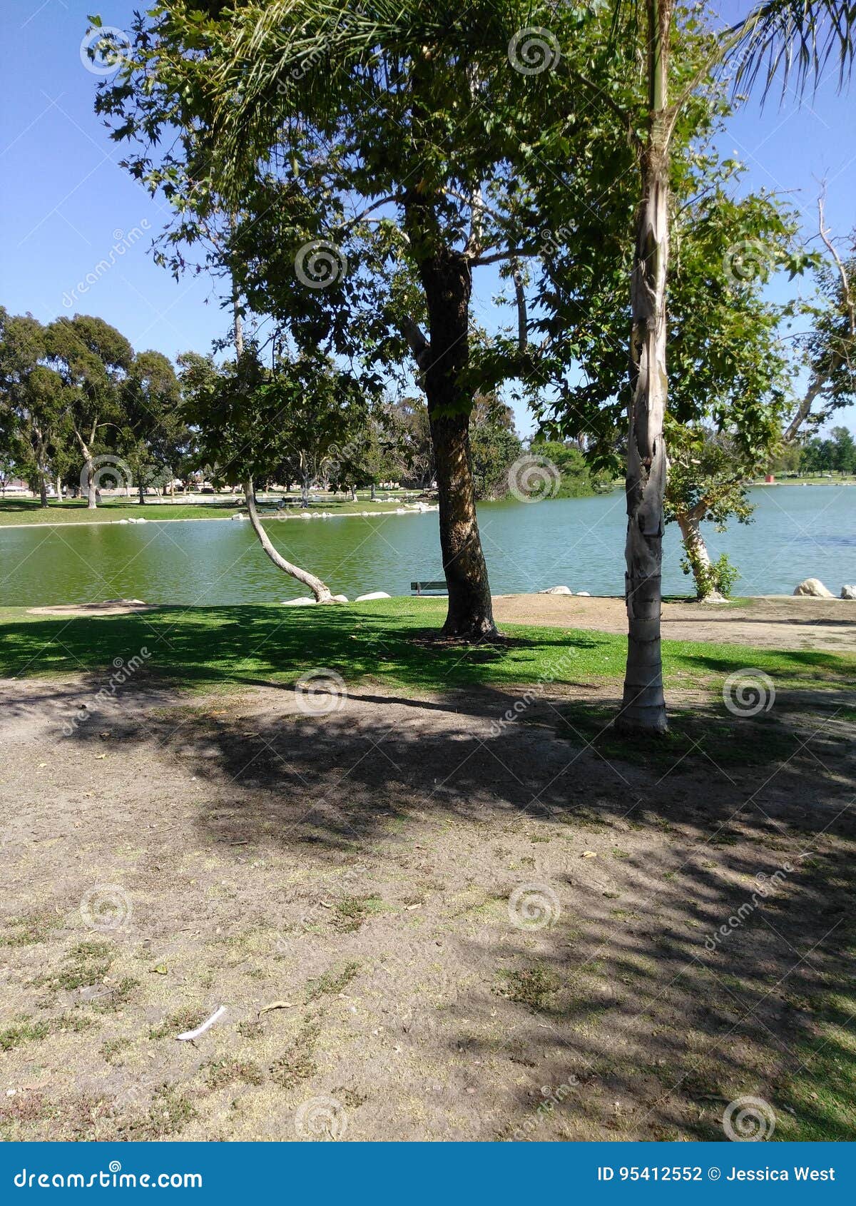 Mile Square Park stock photo. Image of tree, recreation - 95412552