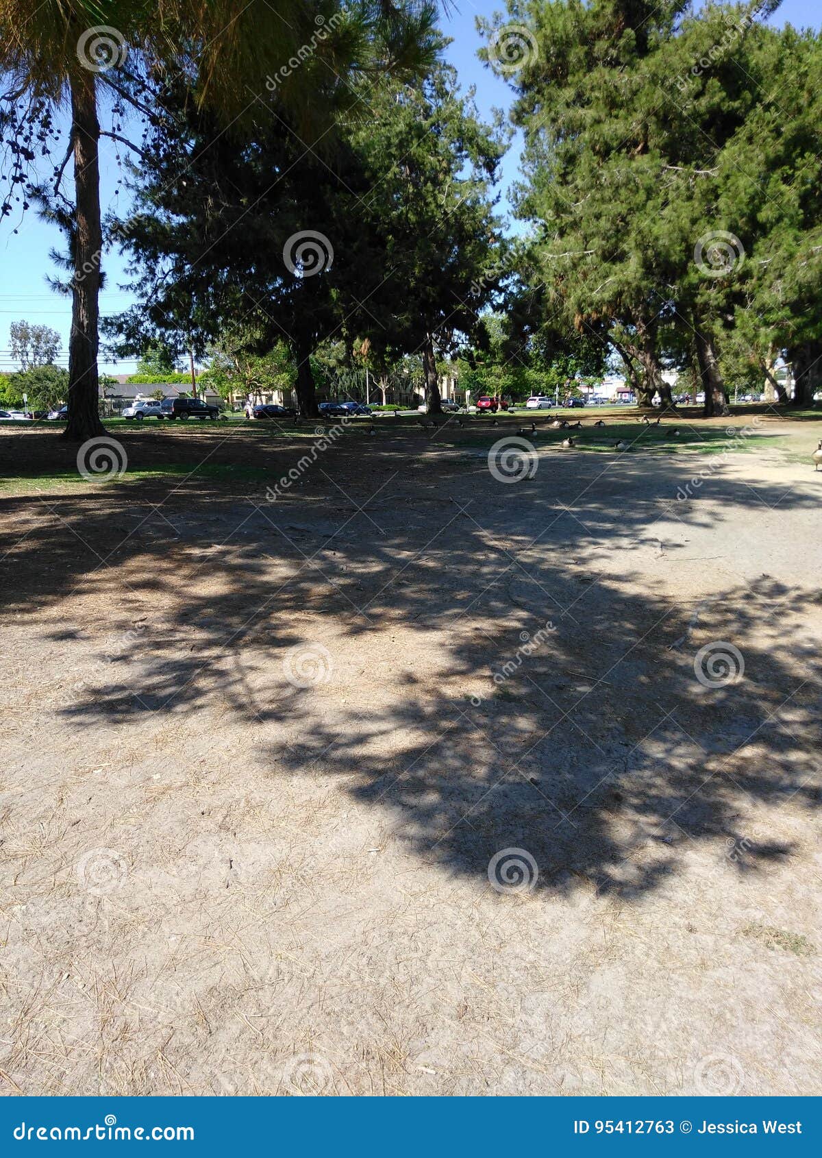 Mile Square Park stock image. Image of driveway, recreation - 95412763