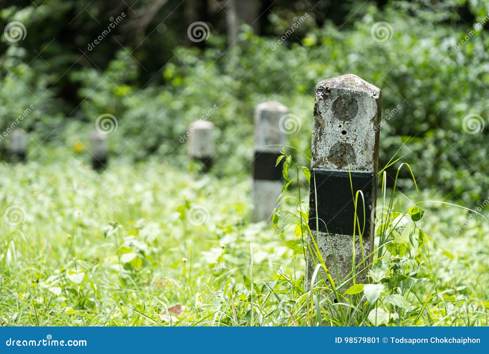 Milestone on Road in Jungle. Stock Image - Image of landscape, white ...
