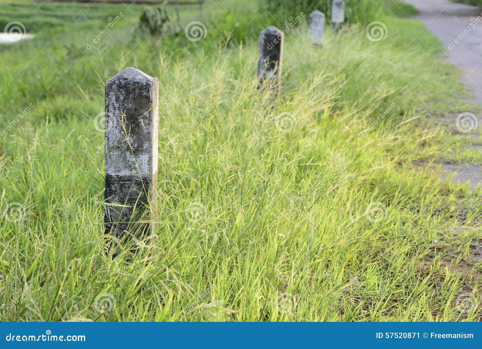 Milestone Road Stock Images - Download 956 Royalty Free Photos