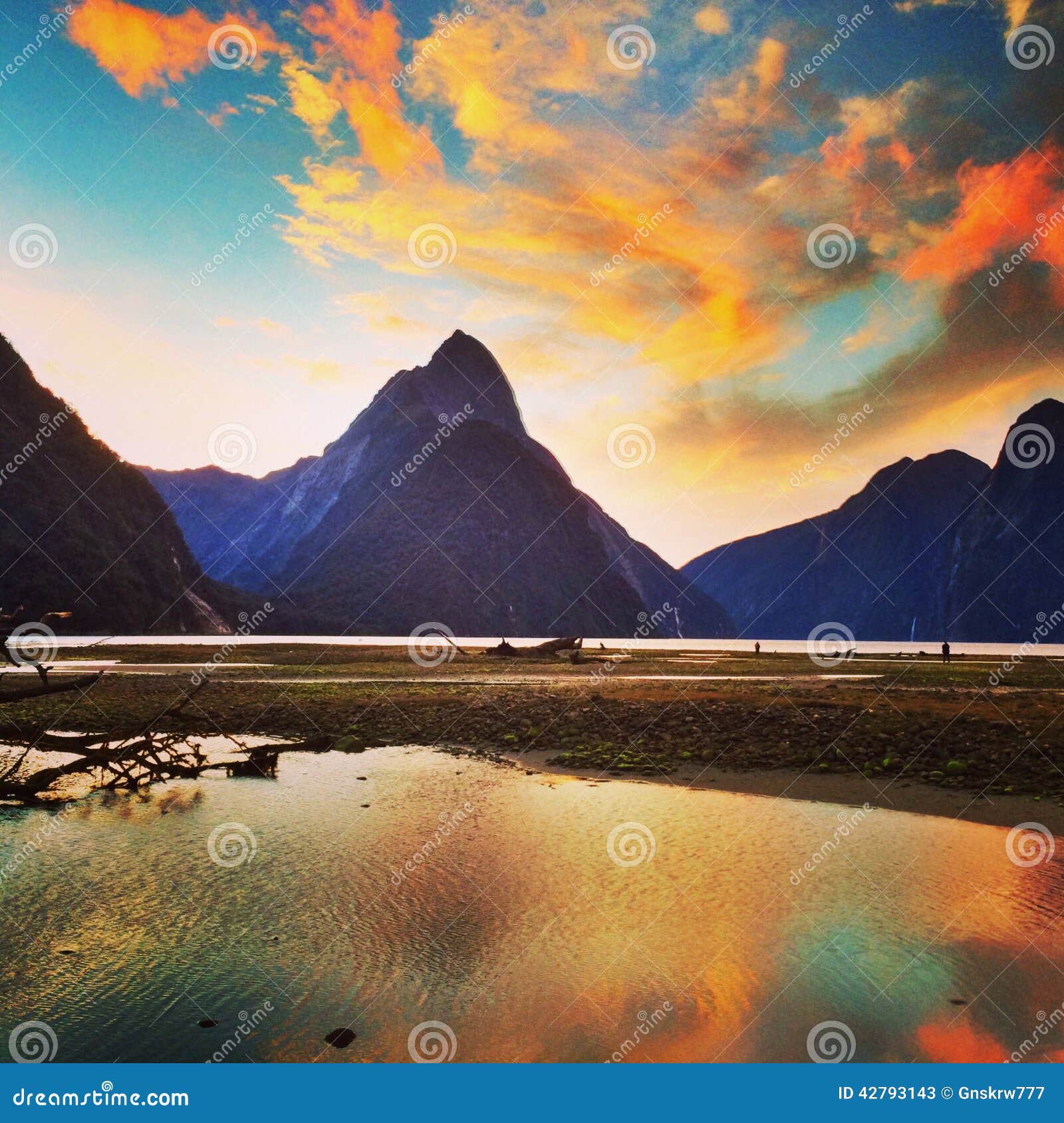 Milford sound stock image. Image of hotel, sunset, sound - 42793143