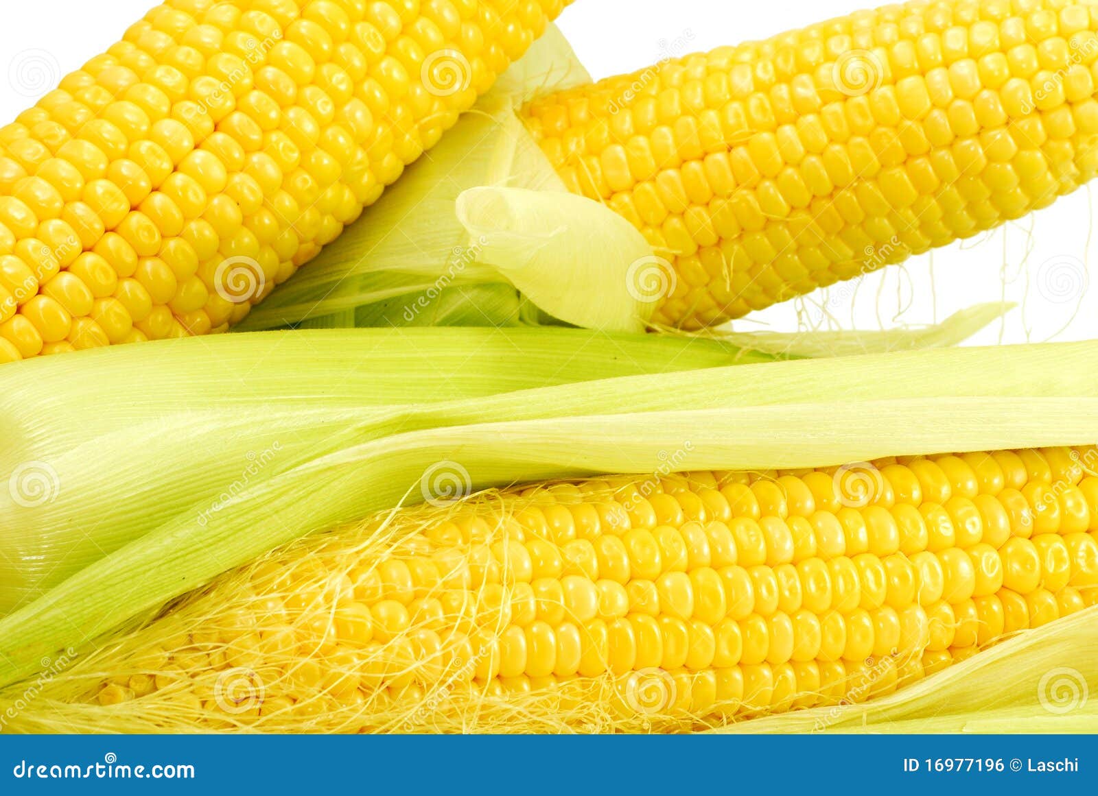 Milho foto de stock. Imagem de orgânico, dieta, agricultura - 16977196