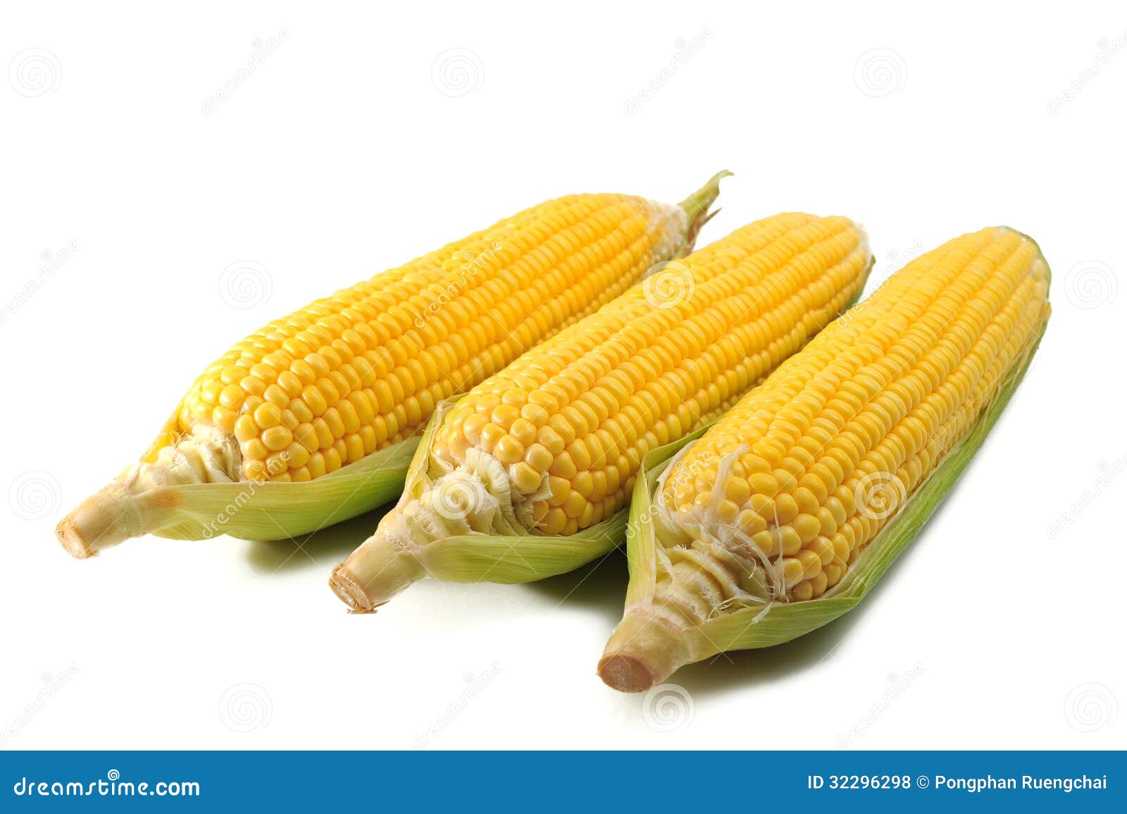 Milho foto de stock. Imagem de alimento, sementes, frescor - 32296298