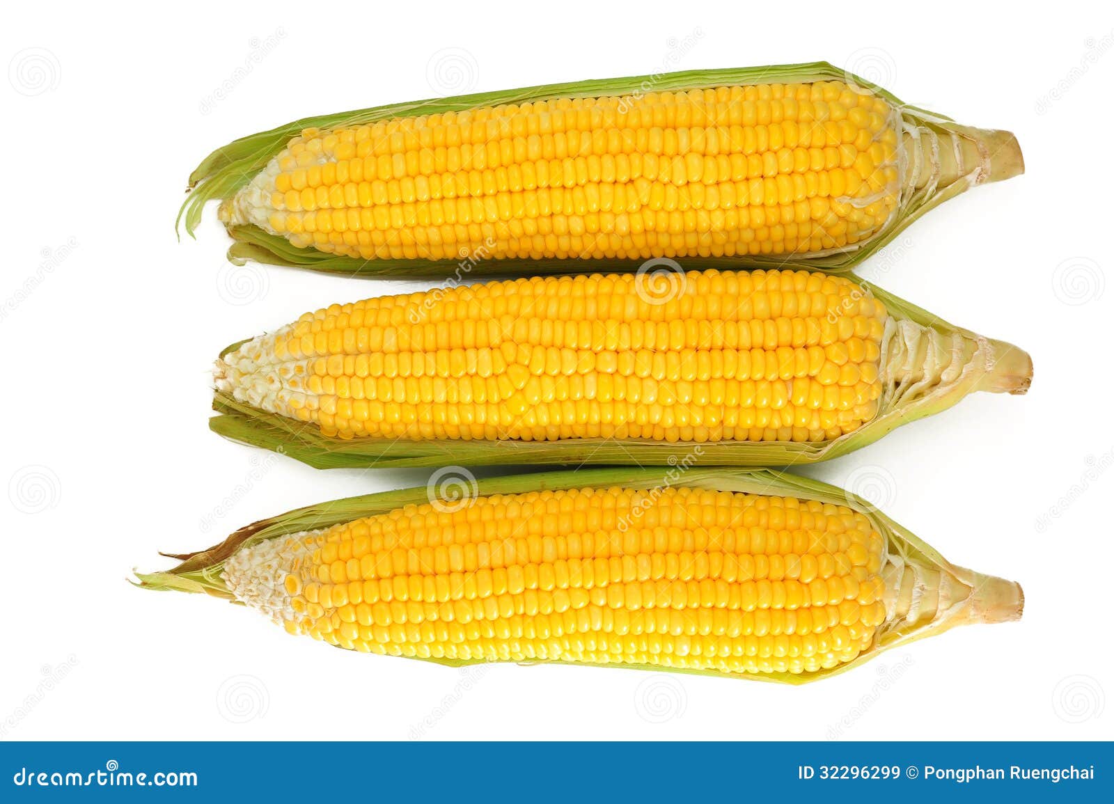 Milho imagem de stock. Imagem de frescor, fundos, isolado - 32296299