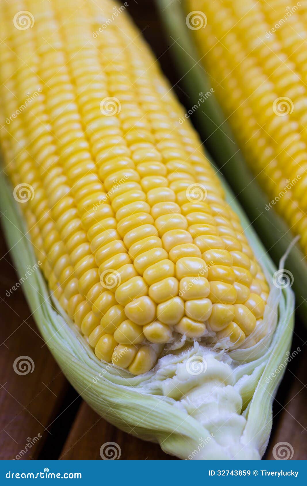 Milho imagem de stock. Imagem de fazenda, fervido, fresco - 32743859