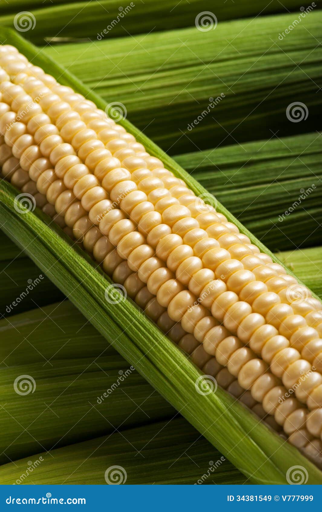 Milho imagem de stock. Imagem de cubo, seda, fruta, imagem - 34381549