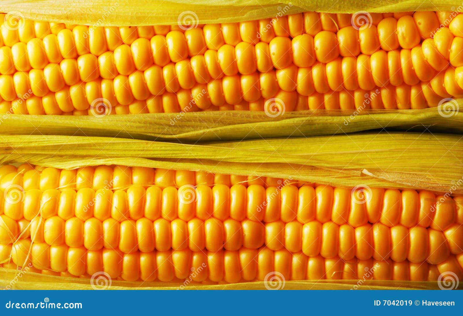 Milho imagem de stock. Imagem de vegetal, comer, lanche - 7042019