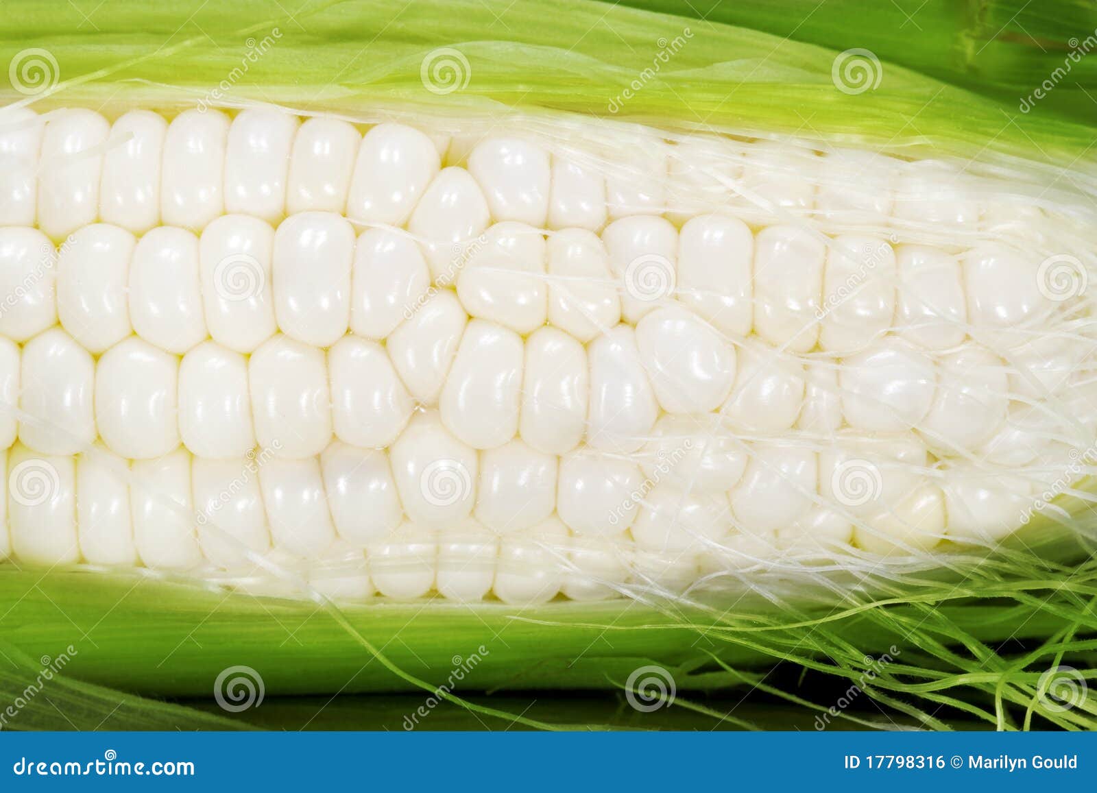 Milho branco foto de stock. Imagem de branco, alimento - 17798316