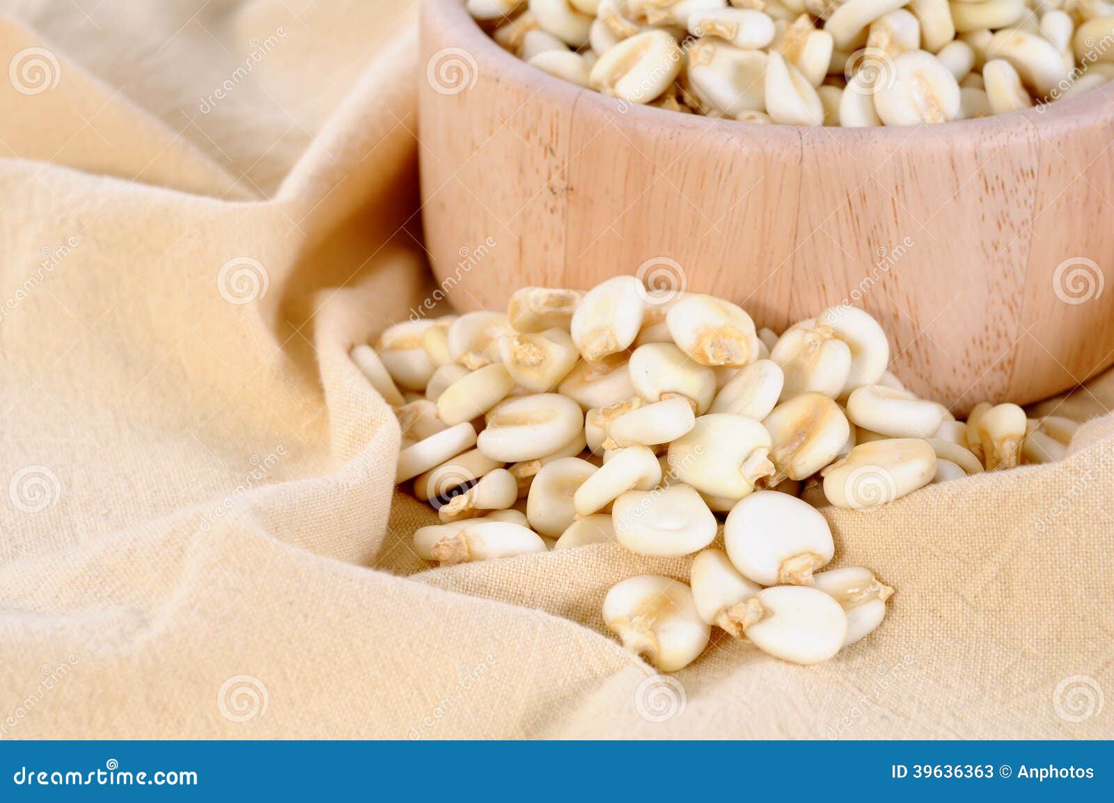 Milho branco gigante imagem de stock. Imagem de dourado - 39636363