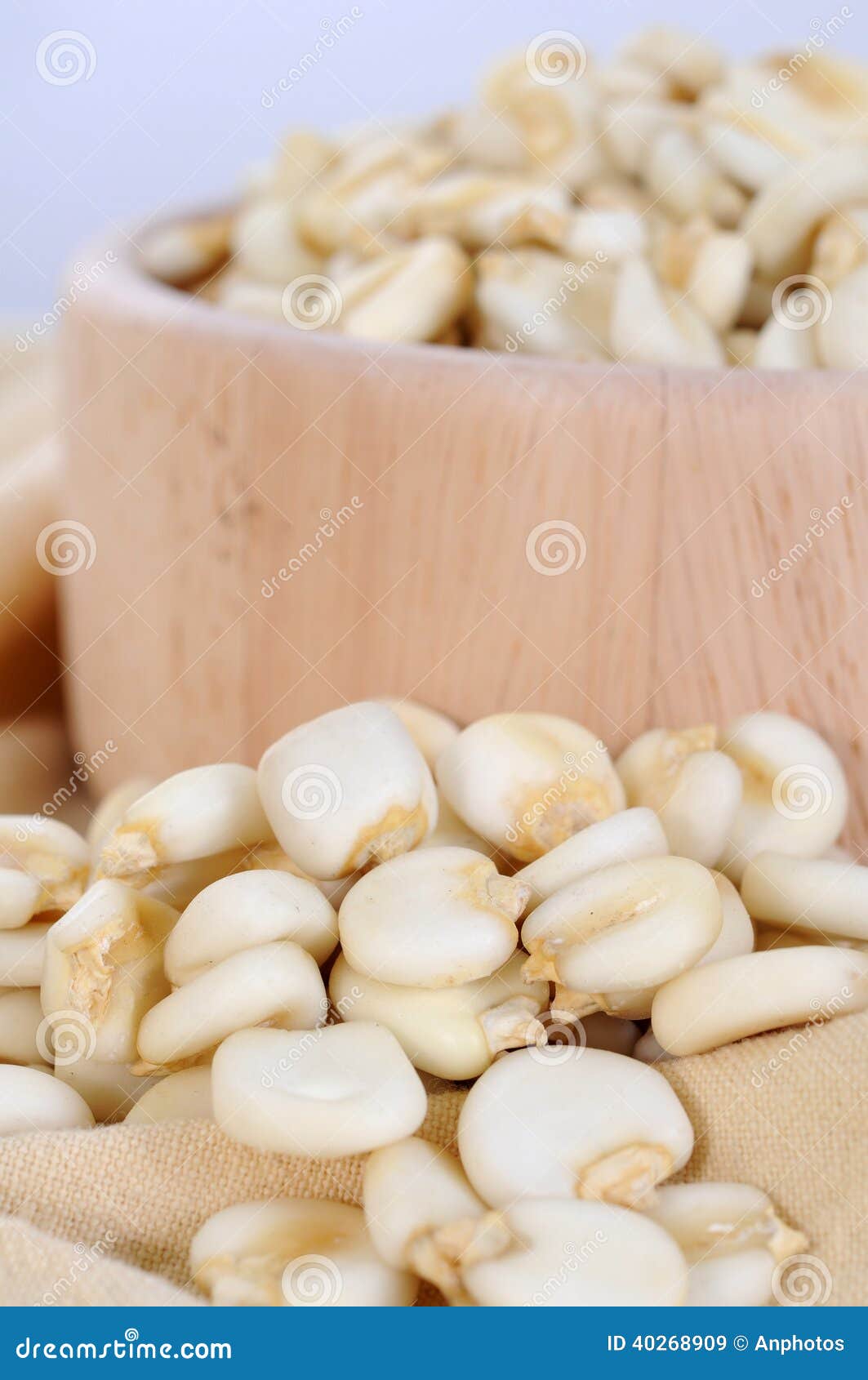 Milho branco gigante imagem de stock. Imagem de peru - 40268909