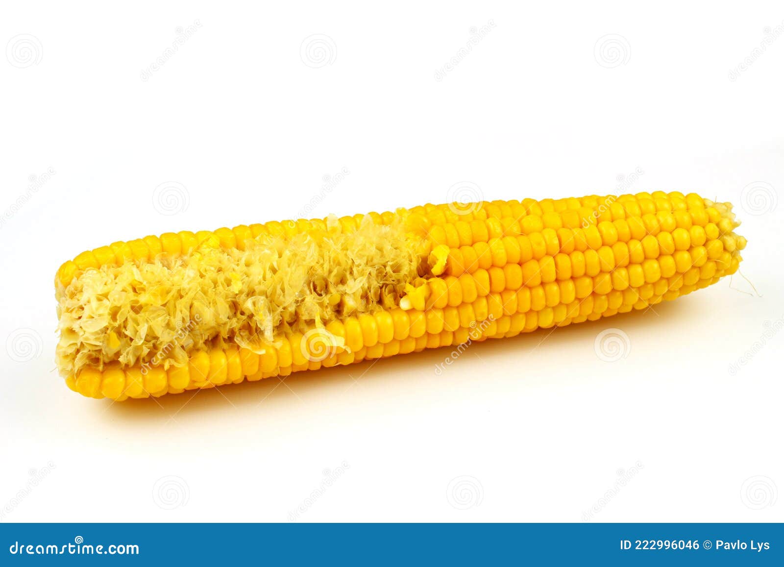 Milho Cozido Picado Em Fundo Branco Foto de Stock - Imagem de colheita ...