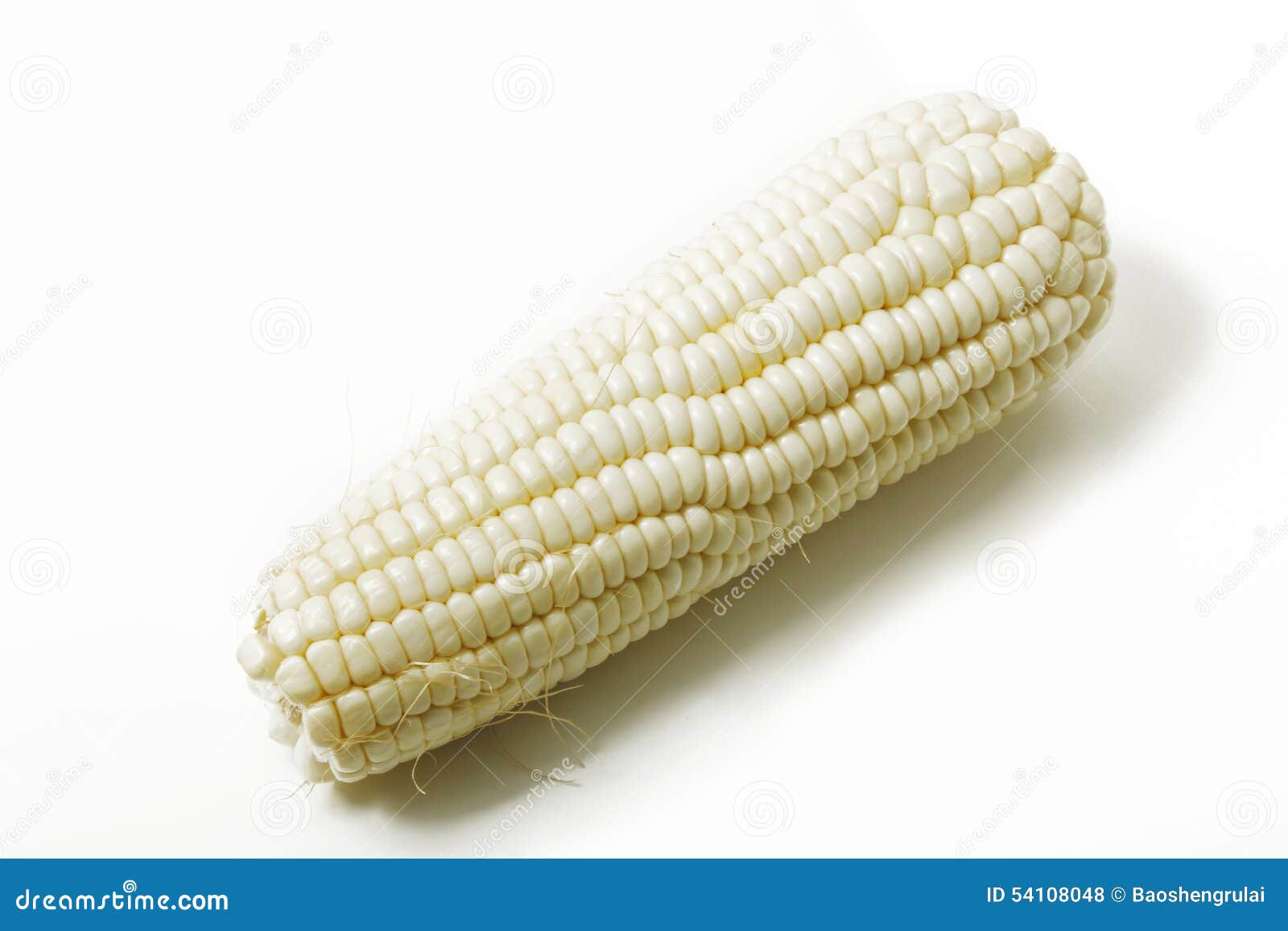 Milho cru foto de stock. Imagem de casca, sweetcorn, dourado - 54108048