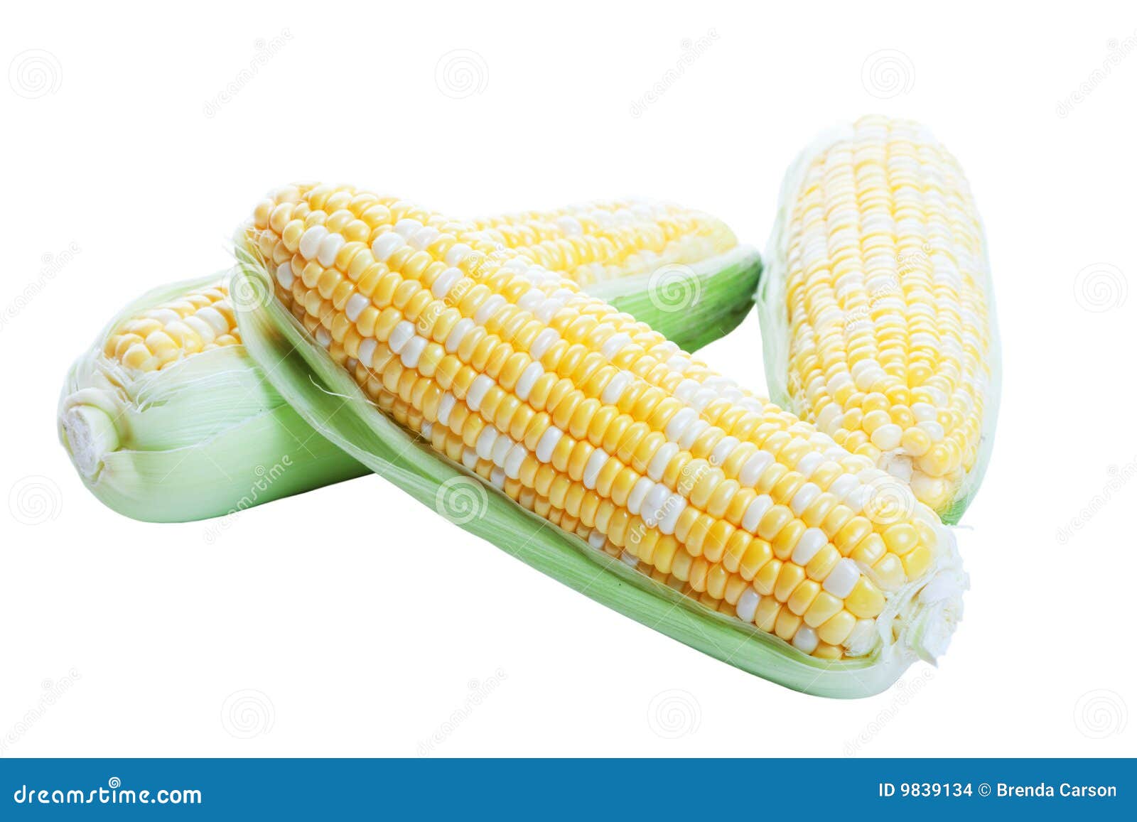 Milho cru nos Husks foto de stock. Imagem de agricultura - 9839134