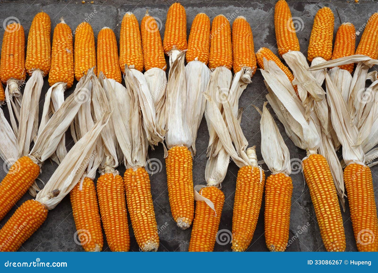 Milho de secagem imagem de stock. Imagem de coma, secado - 33086267