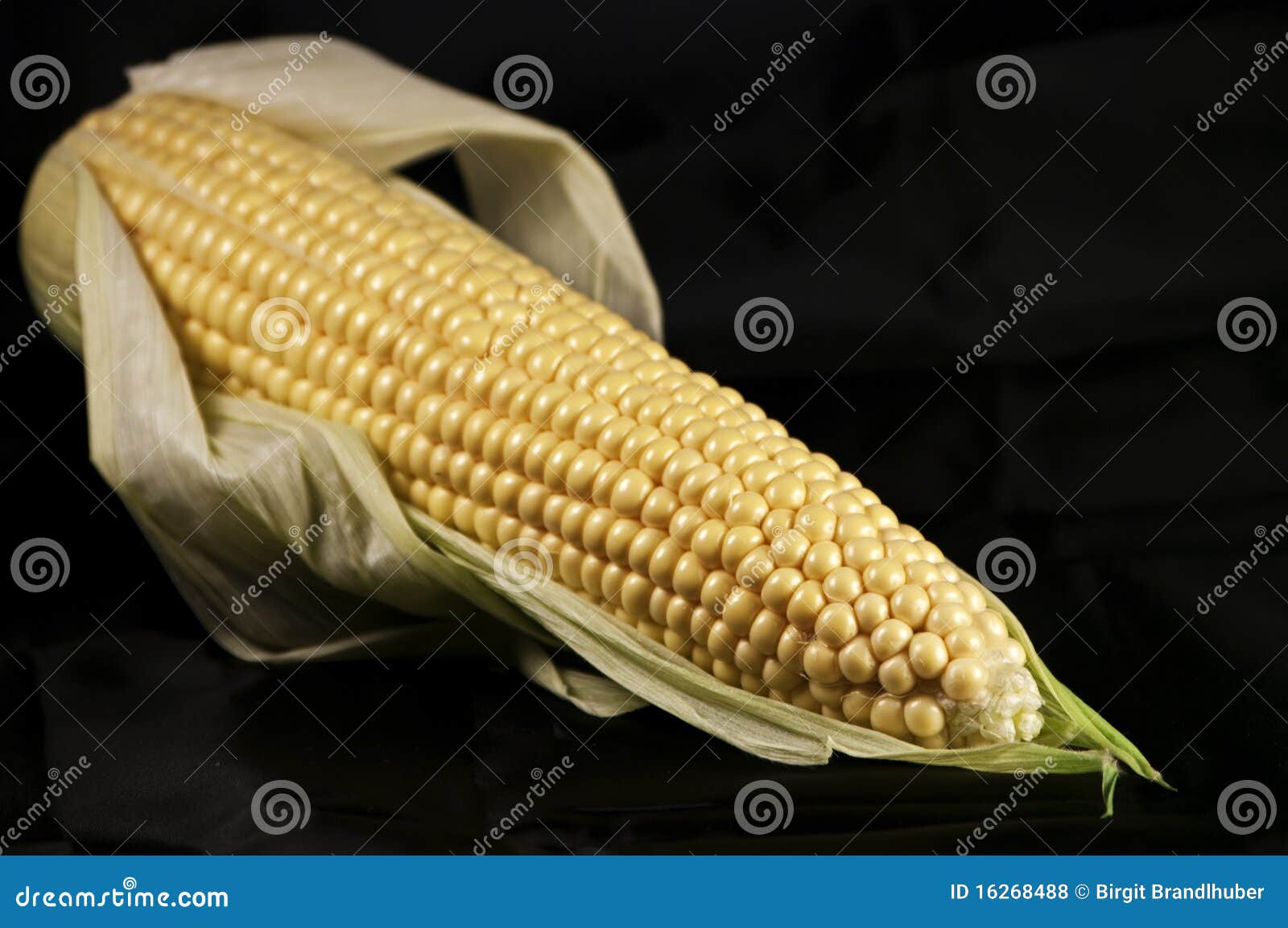 Milho no preto foto de stock. Imagem de alimento, amarelo - 16268488