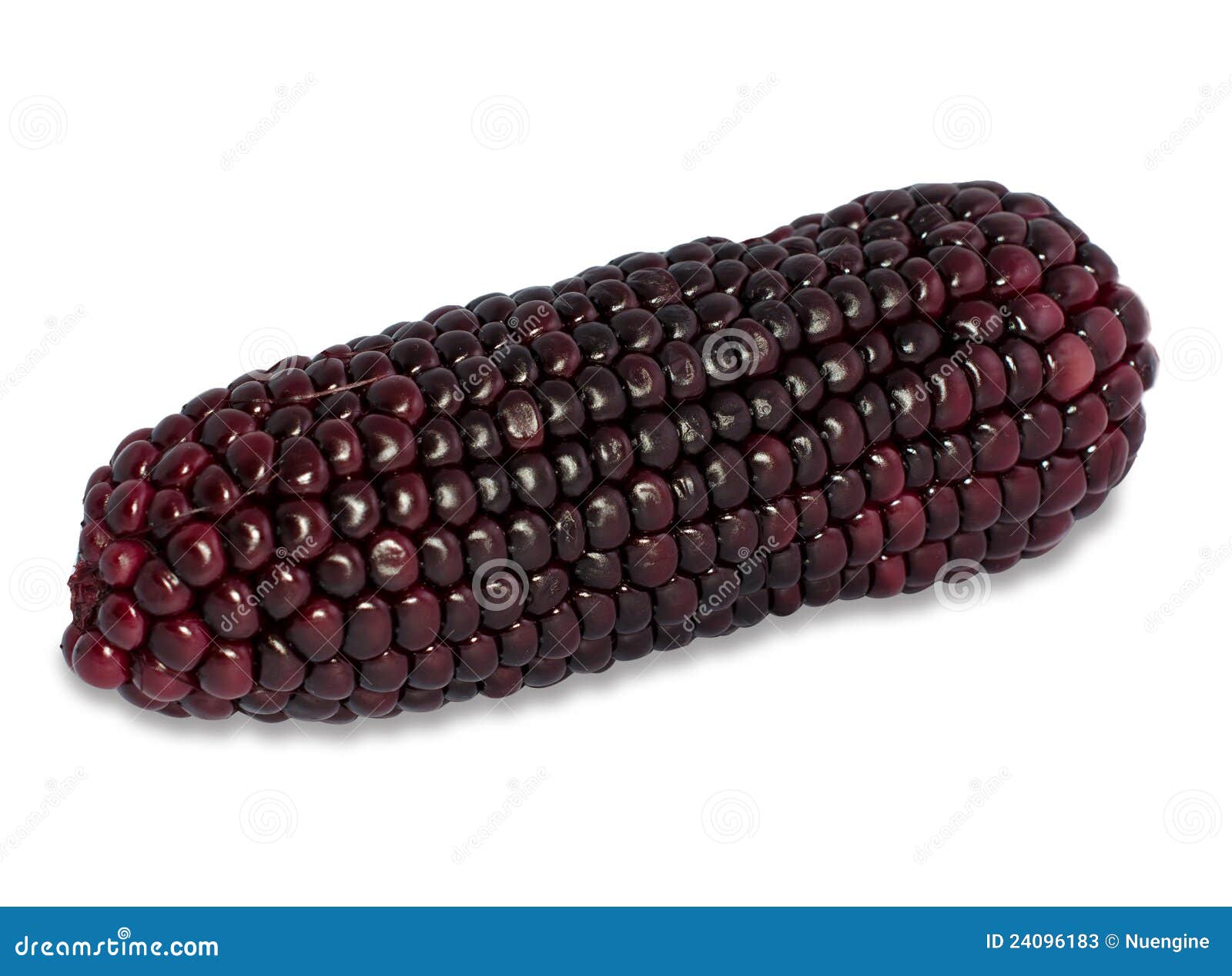 Milho preto imagem de stock. Imagem de coma, fervido - 24096183