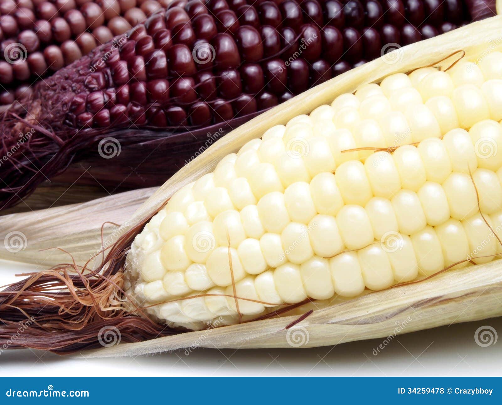 Milho preto fervido foto de stock. Imagem de vegetal - 34259478