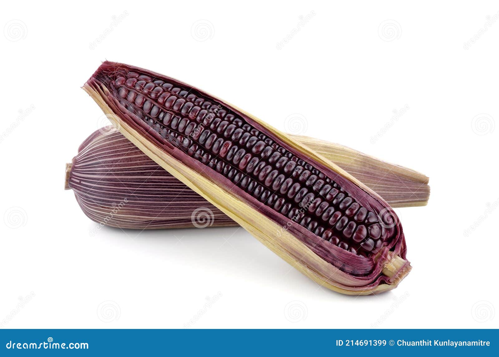 Milho Roxo Isolado Em Branco Imagem de Stock - Imagem de pipoca, roxo ...