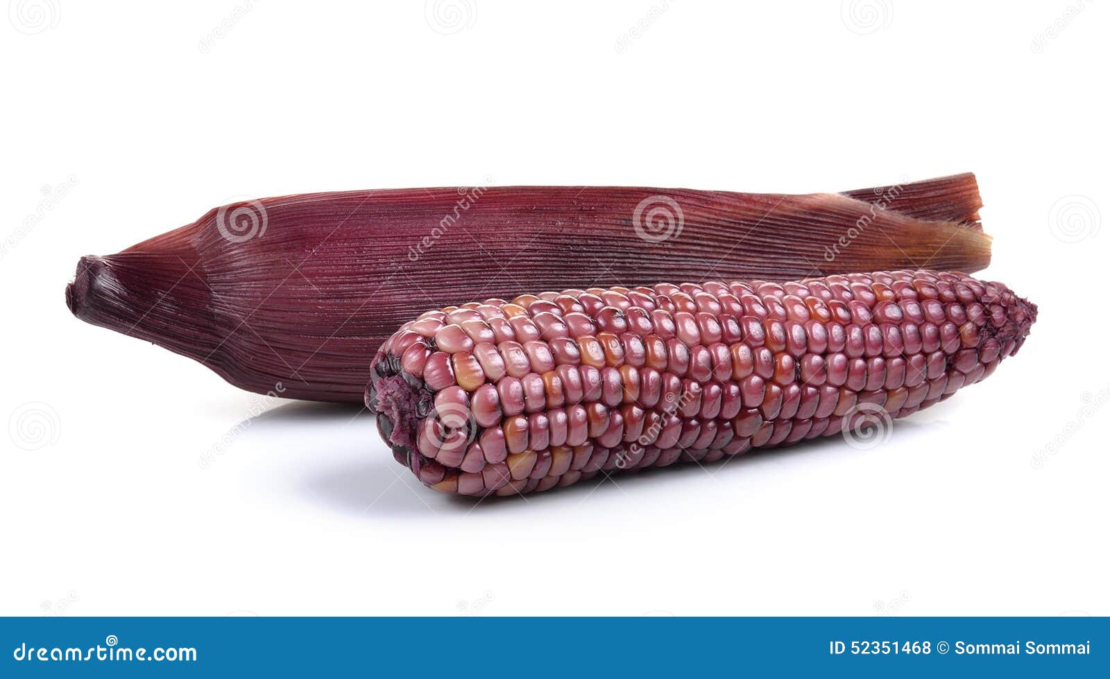 Milho Roxo Isolado No Fundo Branco Foto de Stock - Imagem de roxo ...