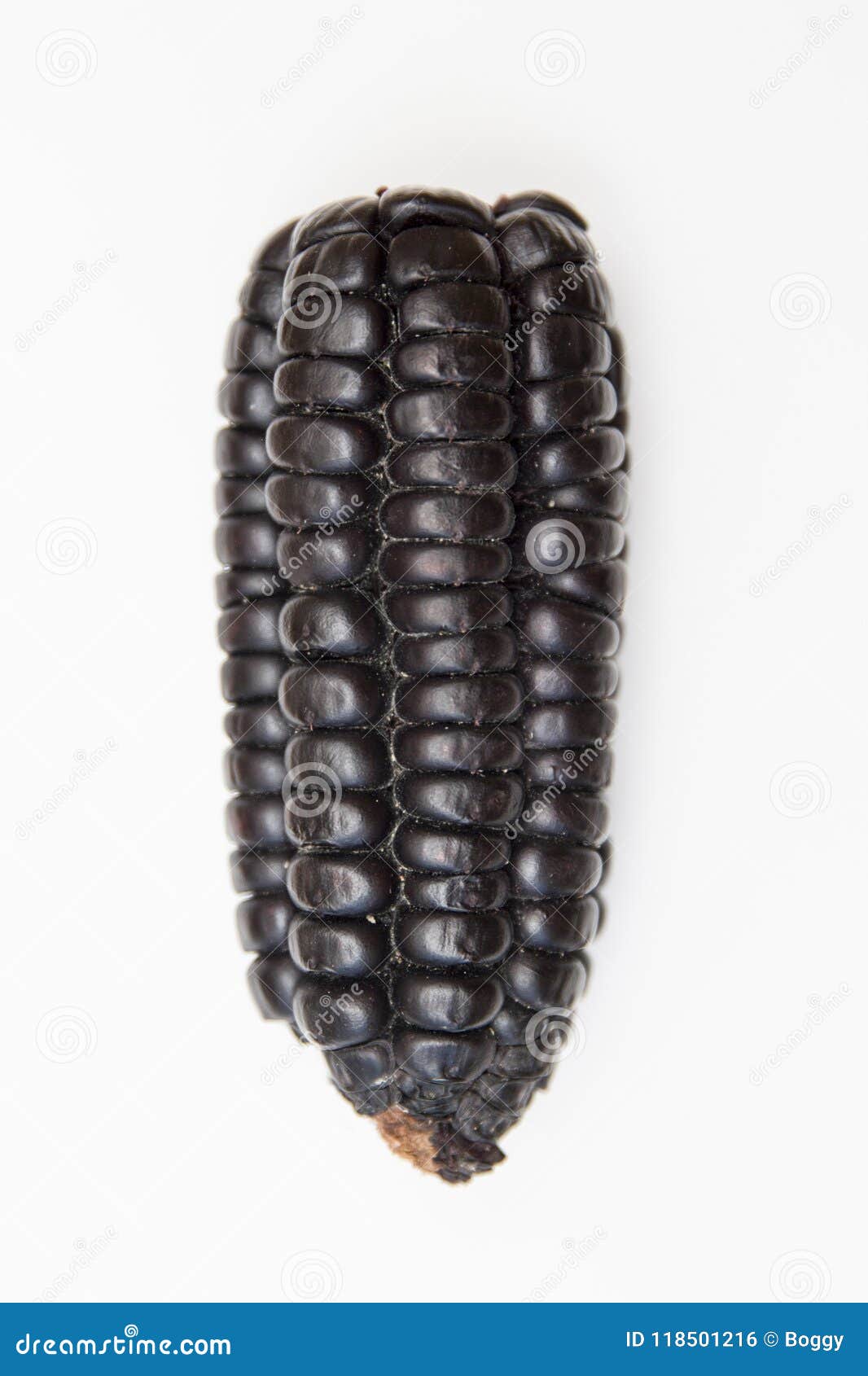 Milho Roxo Isolado No Fundo Branco Foto de Stock - Imagem de gostoso ...