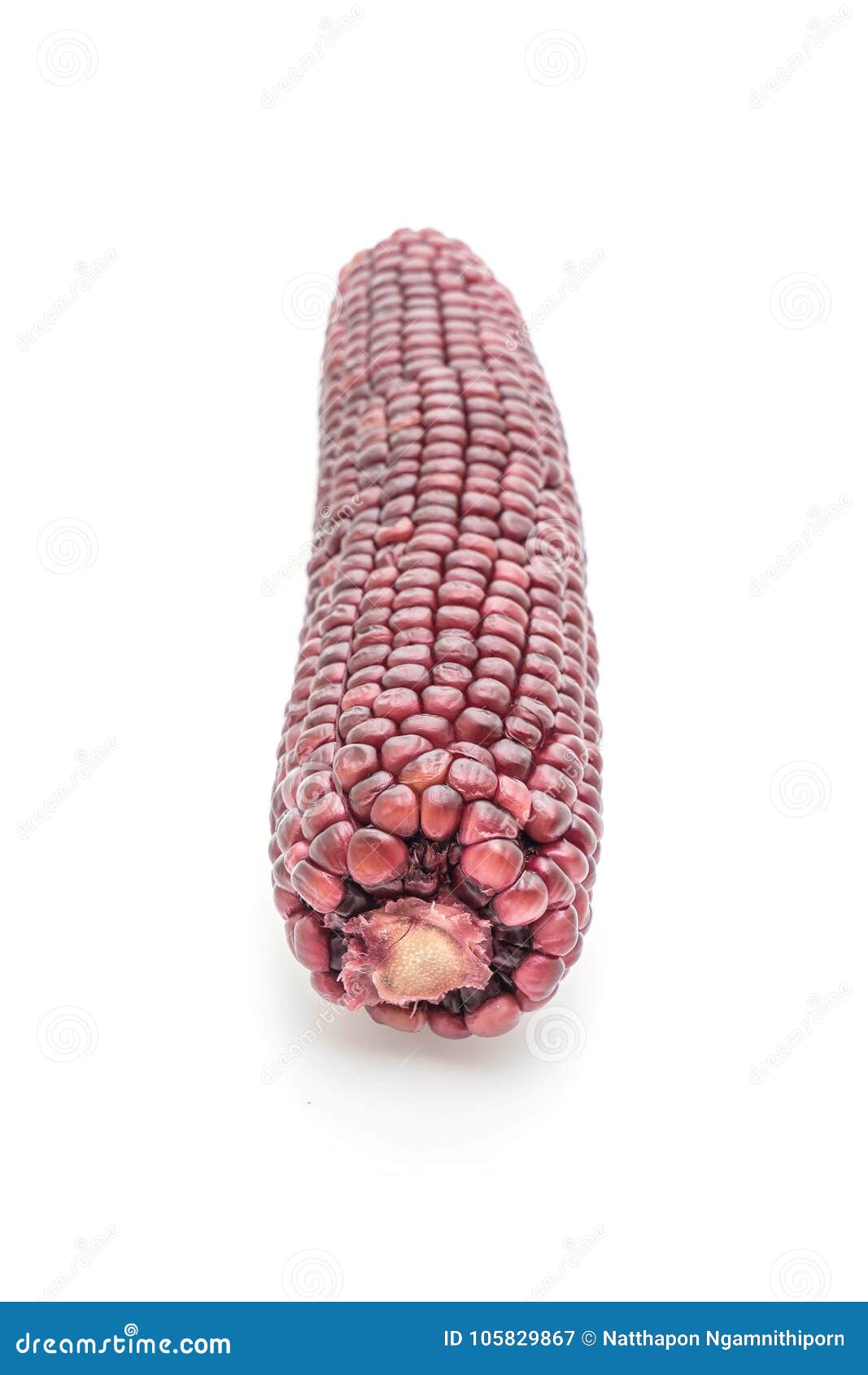 Milho roxo no fundo branco imagem de stock. Imagem de fresco - 105829867