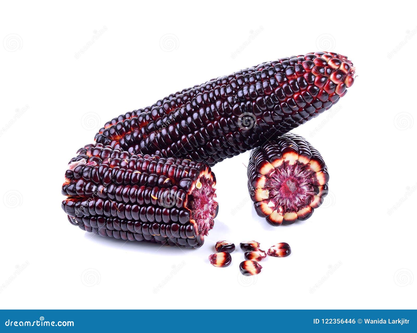 Milho roxo no fundo branco foto de stock. Imagem de sementes - 122356446