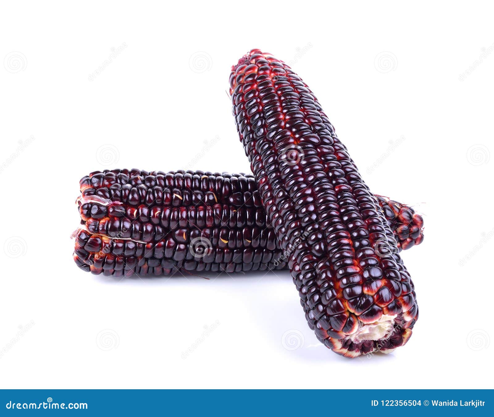 Milho roxo no fundo branco foto de stock. Imagem de preto - 122356504