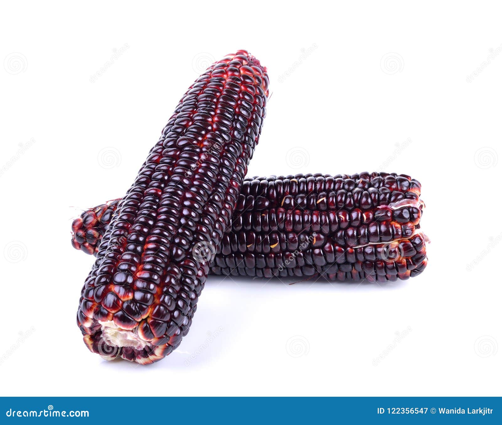 Milho roxo no fundo branco imagem de stock. Imagem de fresco - 122356547