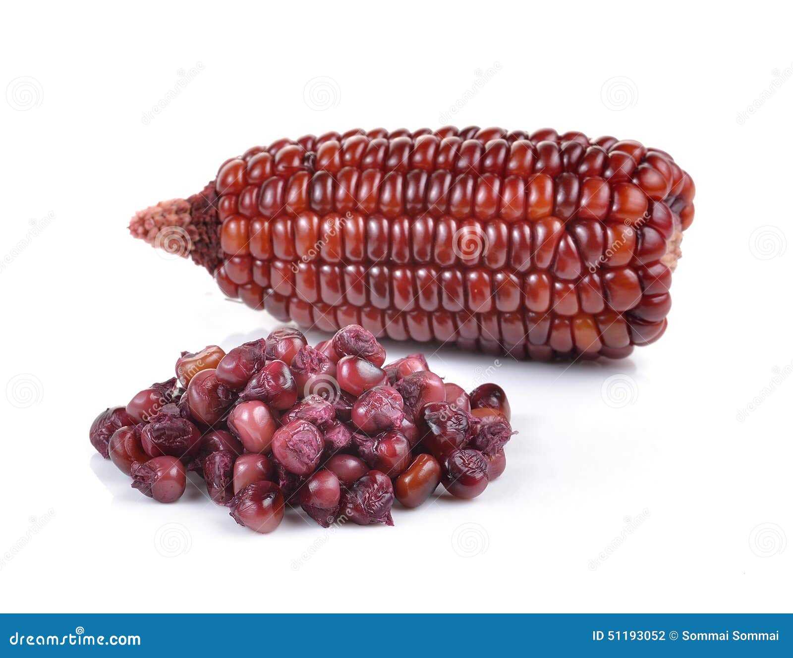 Milho roxo no fundo branco foto de stock. Imagem de nutritivo - 51193052