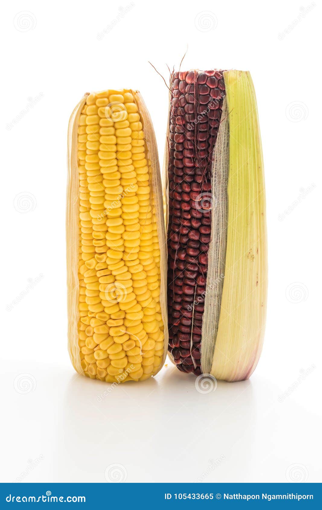 Milho Roxo Ou Milho Preto Do Milho E O Normal Imagem de Stock - Imagem ...