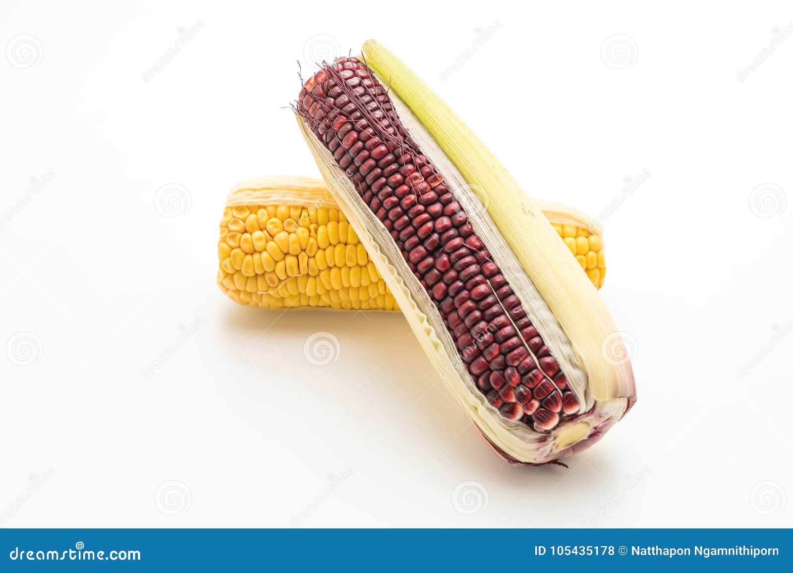 Milho Roxo Ou Milho Preto Do Milho E O Normal Foto de Stock - Imagem de ...